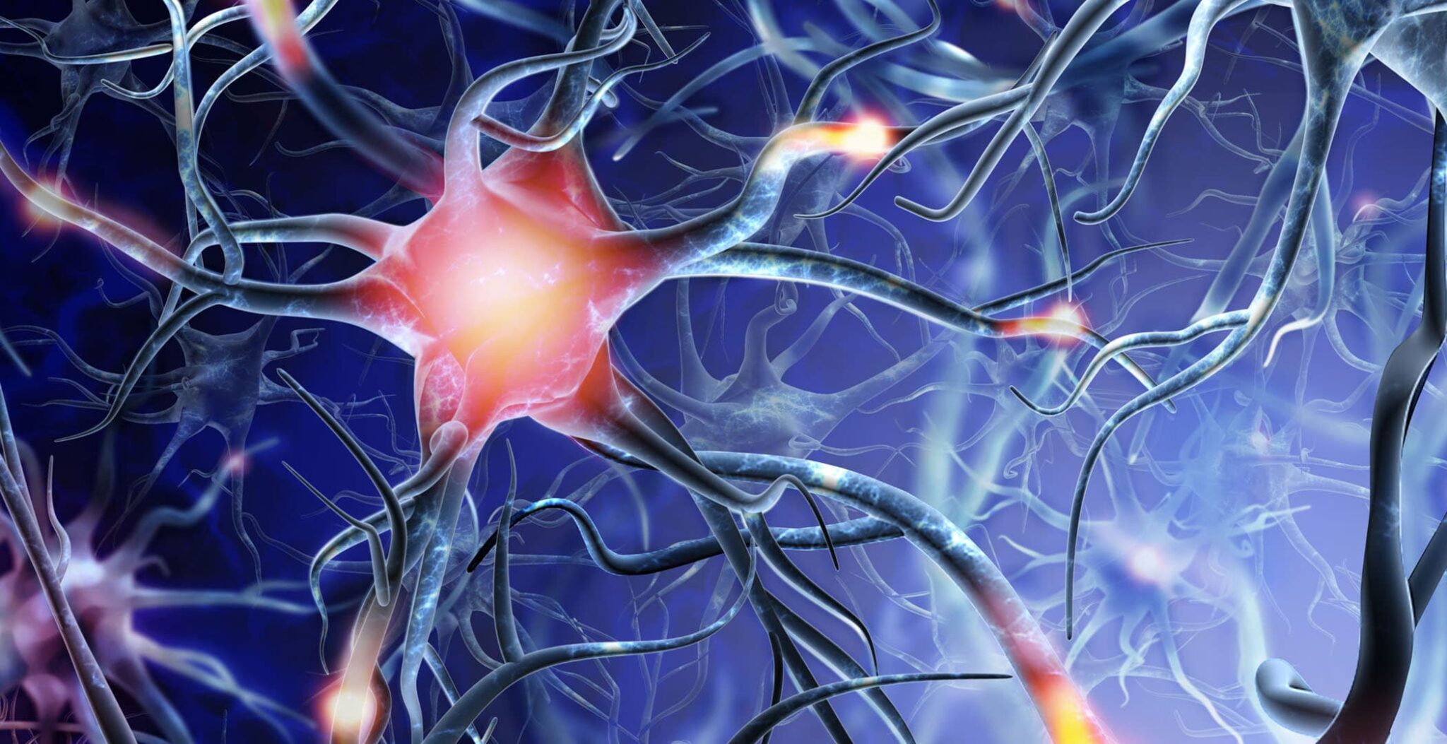 Spatial Omics Understanding Cell Biology Life Innovation Blog Spatial Omics Understanding Cell Biology Life Innovation Blog