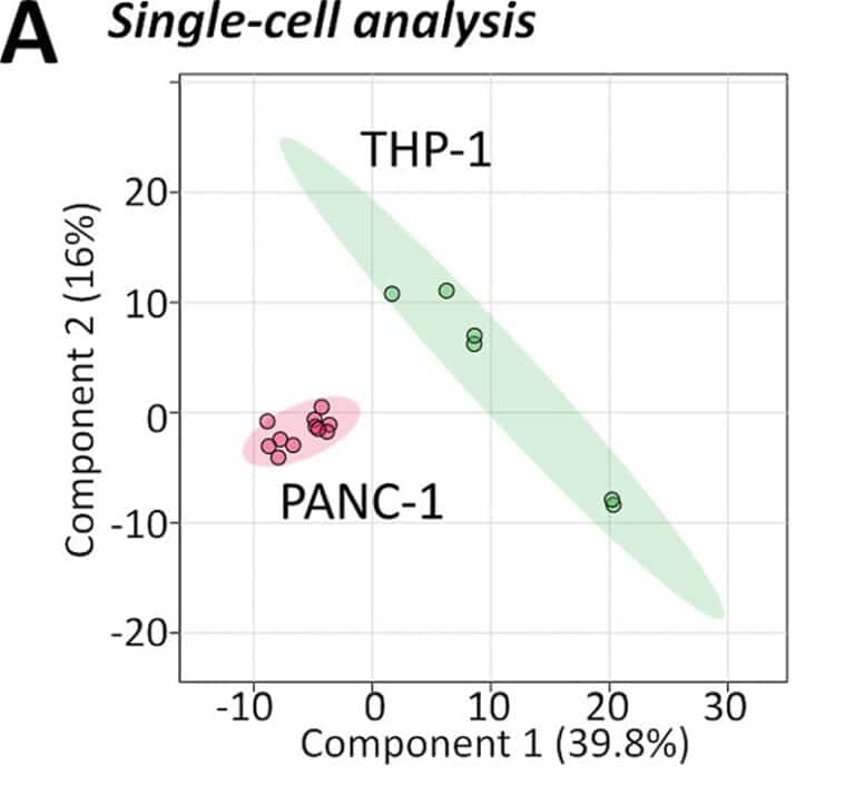 Lipidomics Insight: Single-Cell Analysis Using Liquid ...